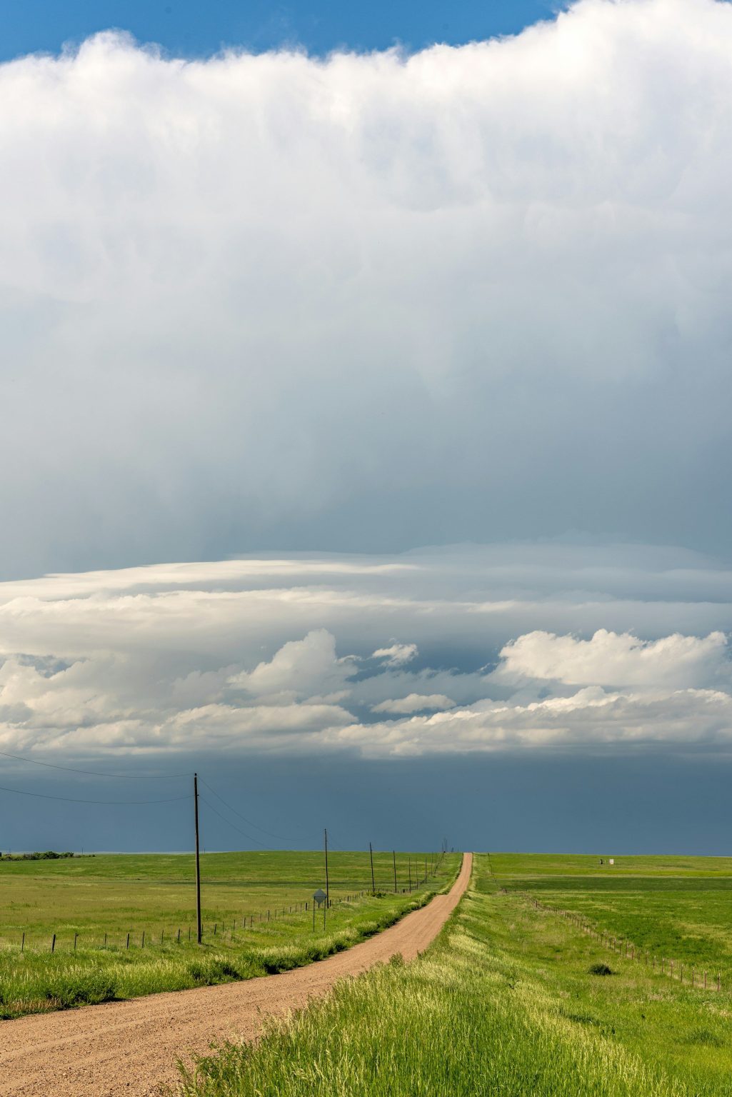 Formations it en ligne : devenez expert avec alphorm – Mac guide